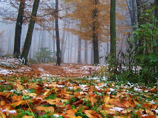 Toamna în parc – de George Topîrceanu – Periegheze
