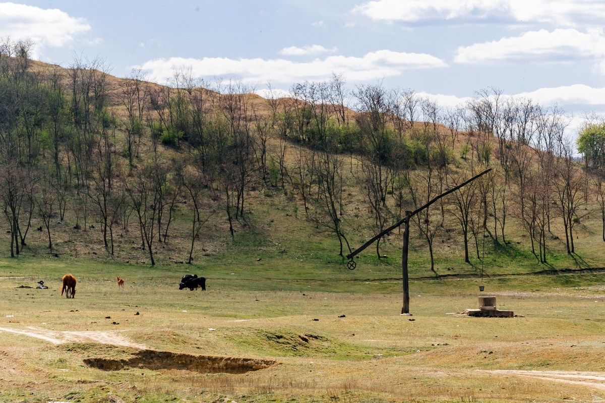 Era o fântână – de Elena Farago – Periegheze